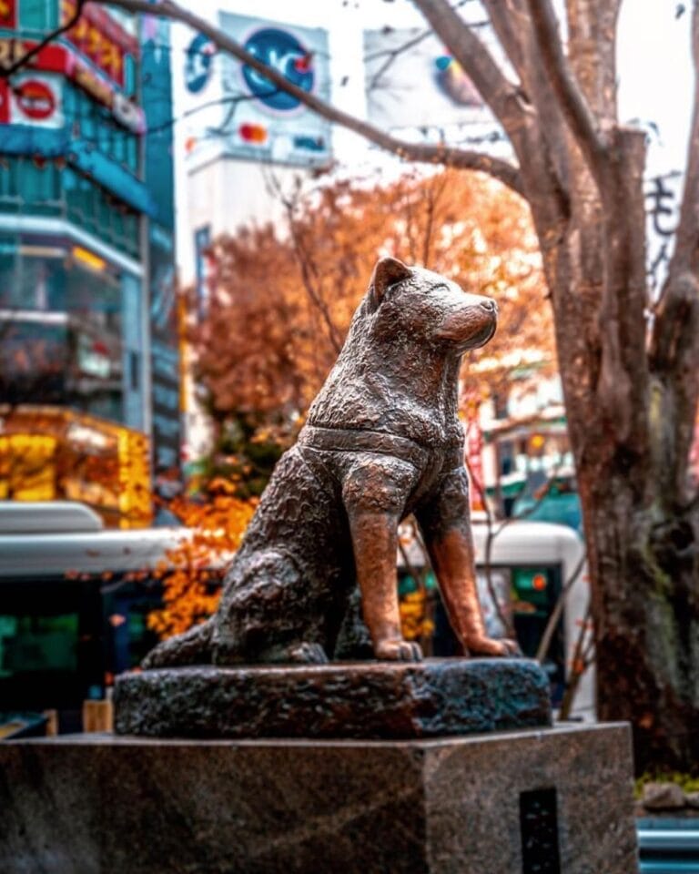 10 datos curiosos de Japón que tienes que conocer