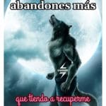Los 20 mejores memes de lobos para morirte de risa - Plan b